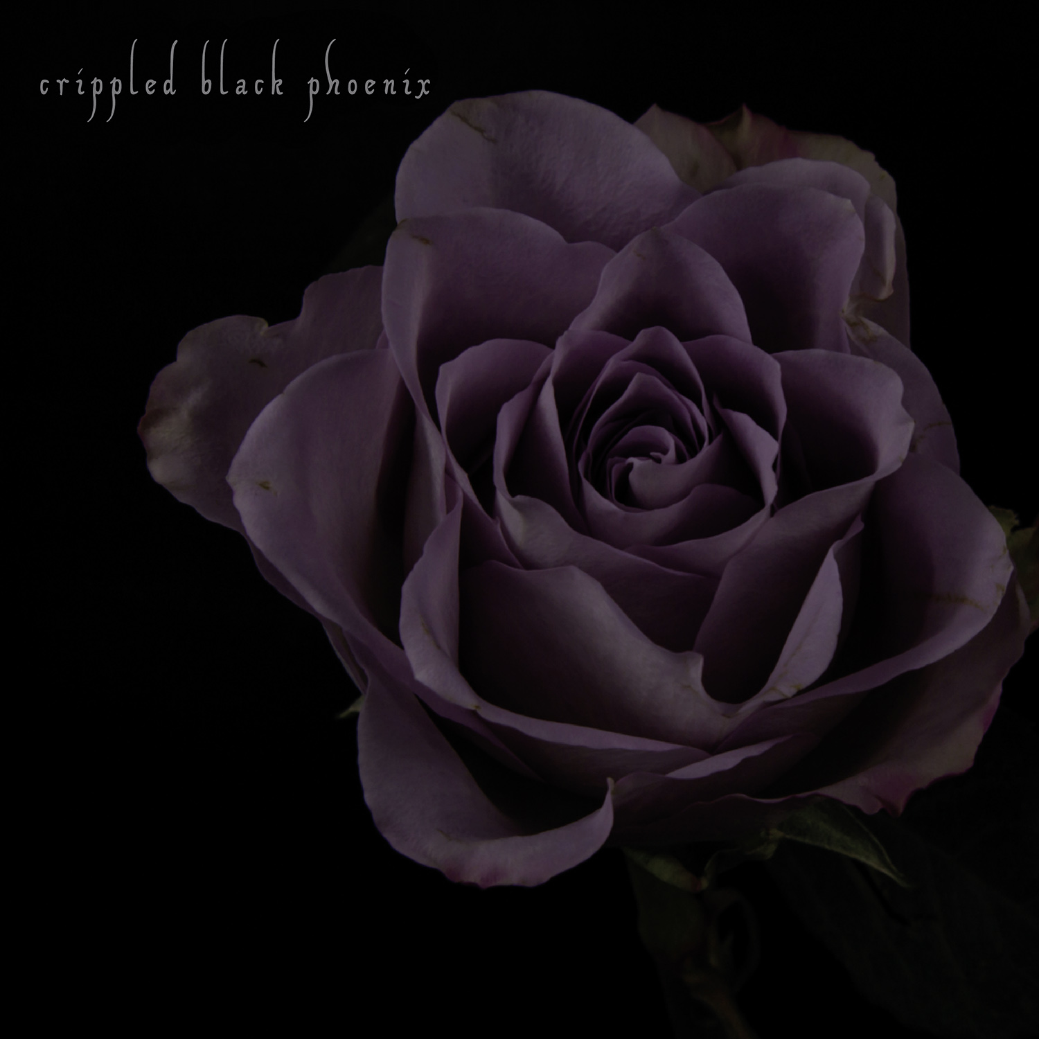 Painful Reminder / Dead is Dead - Crippled Black Phoenix | Season of Mist