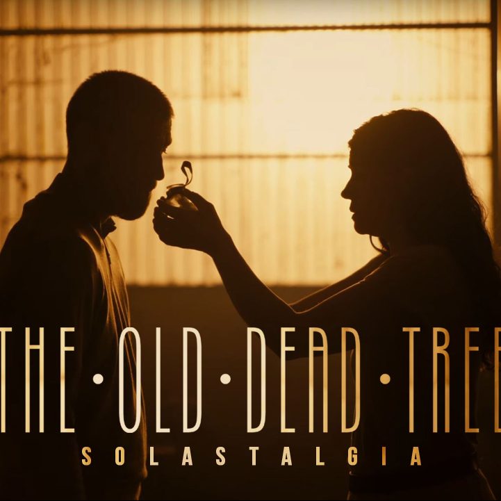 THE OLD DEAD TREE Returns with Heart-Wrenching Single Solastalgia | Season of Mist